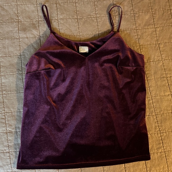 a new day | Tops | Plum Velvet Camisole Top | Poshmark